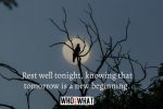 Best Good Night Messages,Wishes for you - WHO QUOTES WHAT